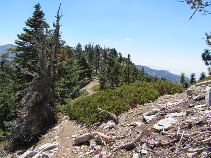 Dan's Hiking Blog: Mt. Williamson Hike - August 25, 2012