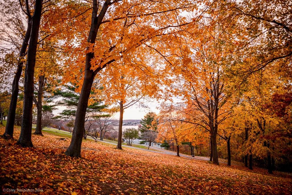 Corey Templeton Photography: Leaves on the Western Prom