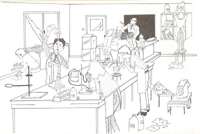 Normas en el laboratorio ~ Con-CIENCIA