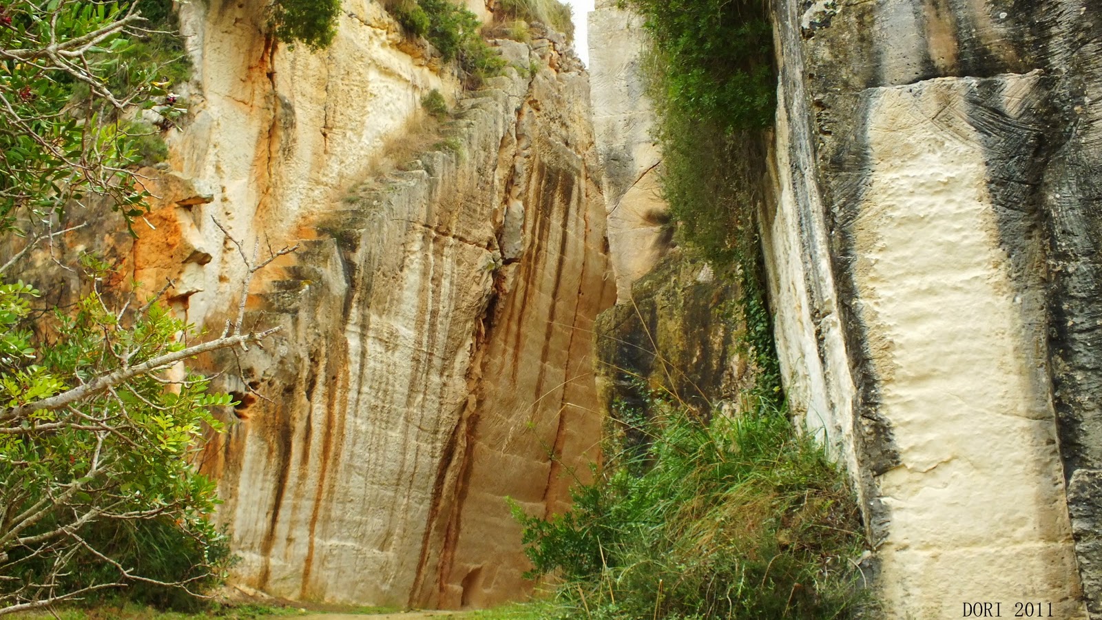 Pasea Menorca: Sa Pedrera de Santa Ponça