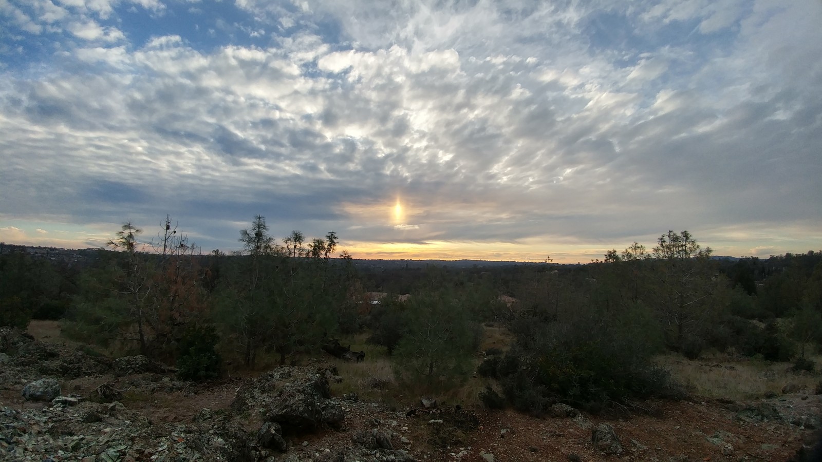 The Halo Vault: Reflection Subsun and the Yolo Bypass