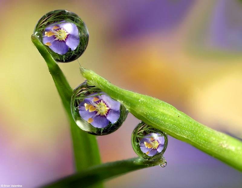 universo em poemas: RESQUÍCIO