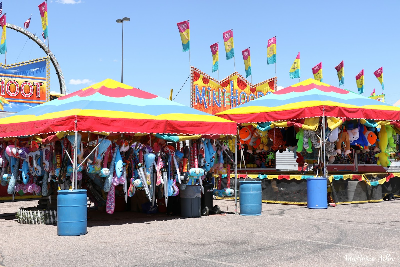 5 Reasons to Take Kids to the State Fair - AnnMarie John