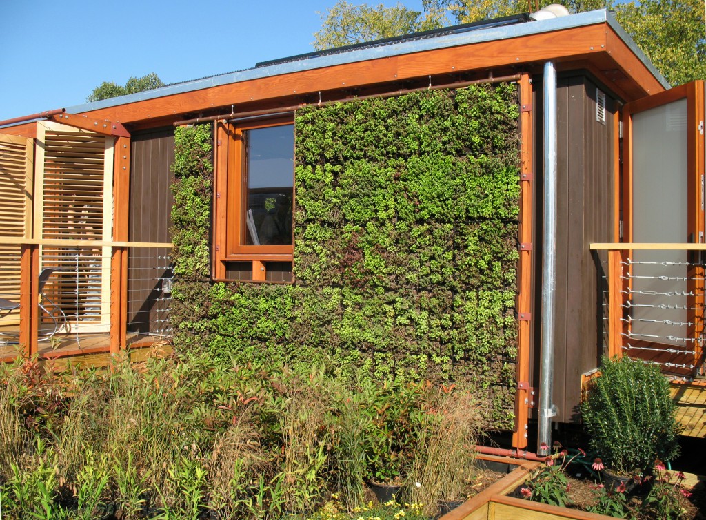 Parede verde - vantagens do uso