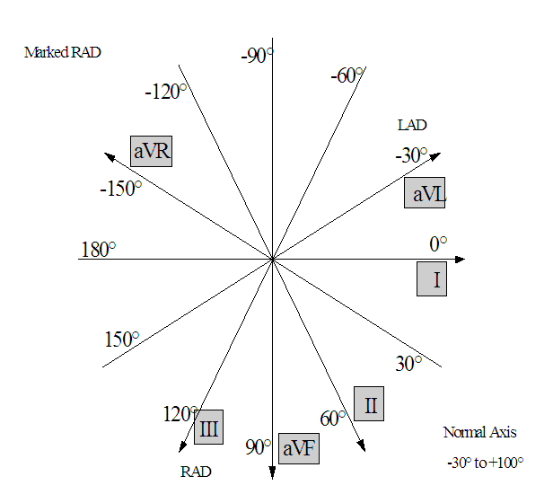 Cara Menilai Aksis Jantung - MUZARRO
