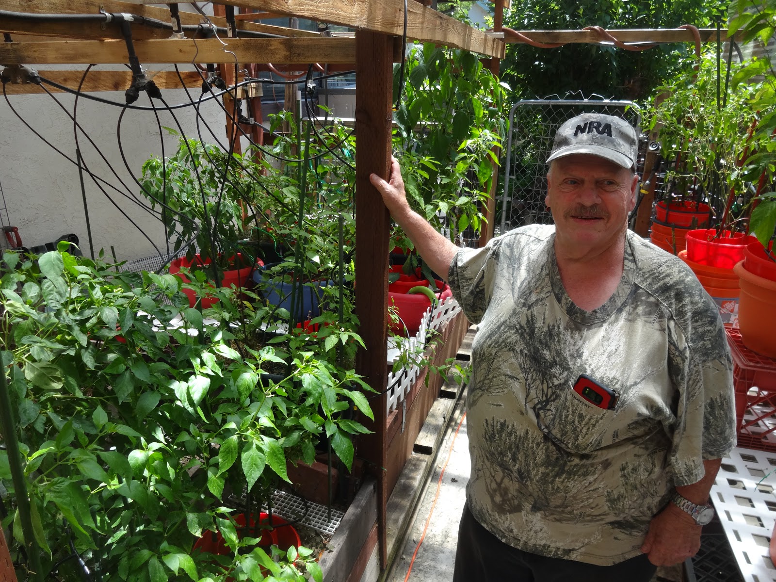 The Scientific Gardener: Sam's Garden