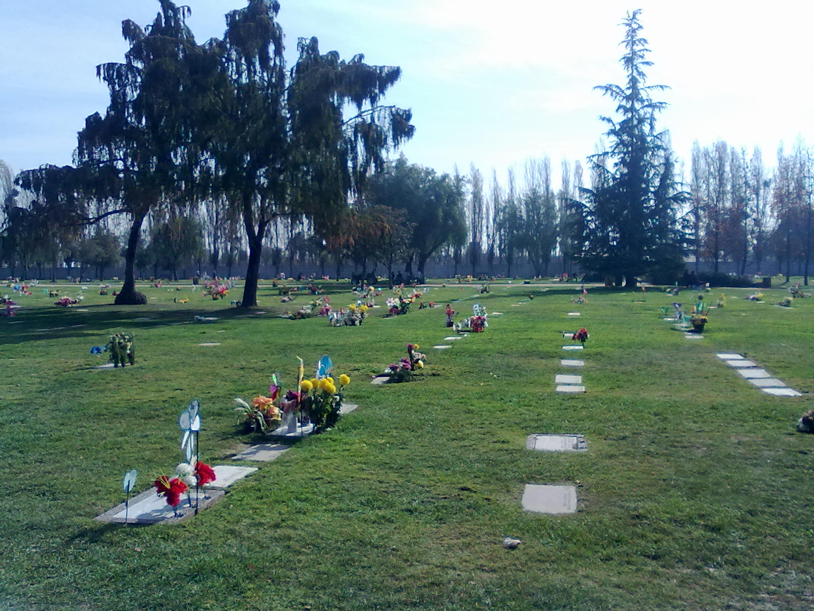 El Prado Parque Cementerio: Nuevas imágenes de Parque Cementerio El Prado