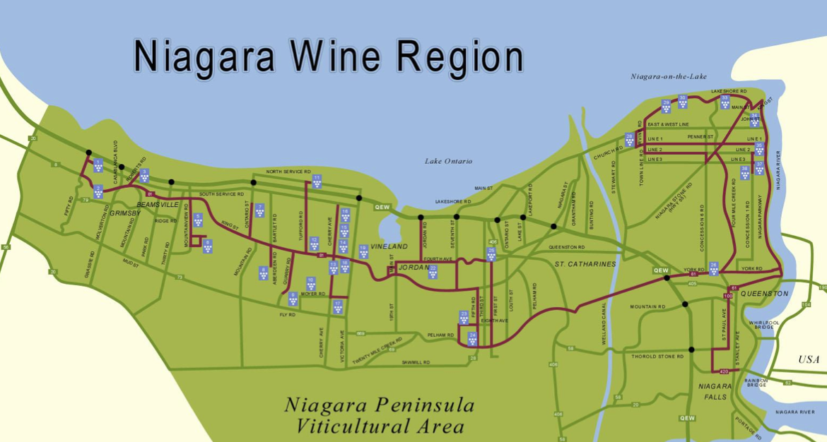 The World of Wine Review: Unit 3 – Day 3: North American Wines