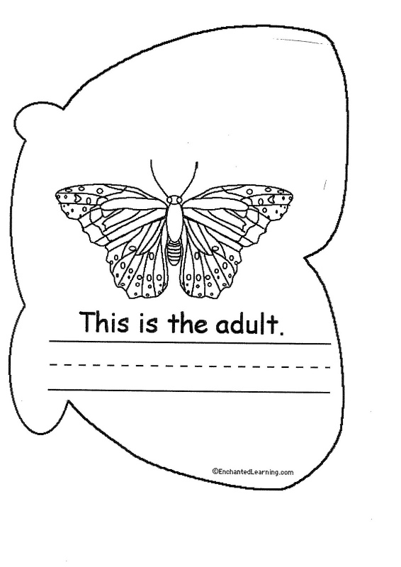 Life Cycle Of A Butterfly Booklet Printable - prntbl ...