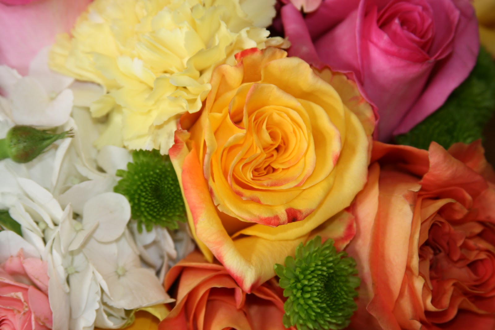 Blossoms&Blessings: Flower blessings