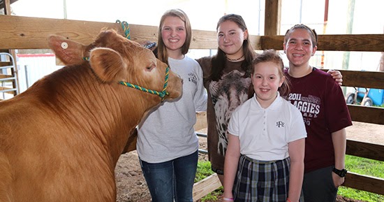 Animals Help FFA Students Find Confidence, Passion ~ The School Zone