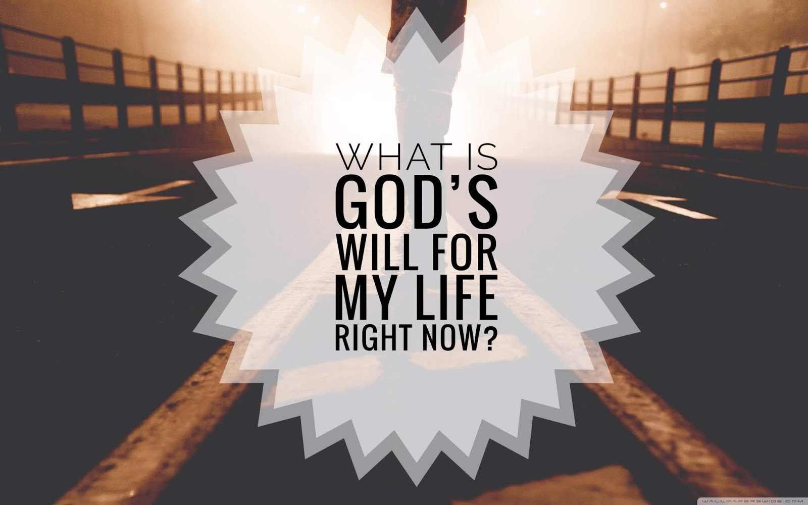 Decerning God's Will for Your Life {Jeremiah 39-45} - Women in the Word