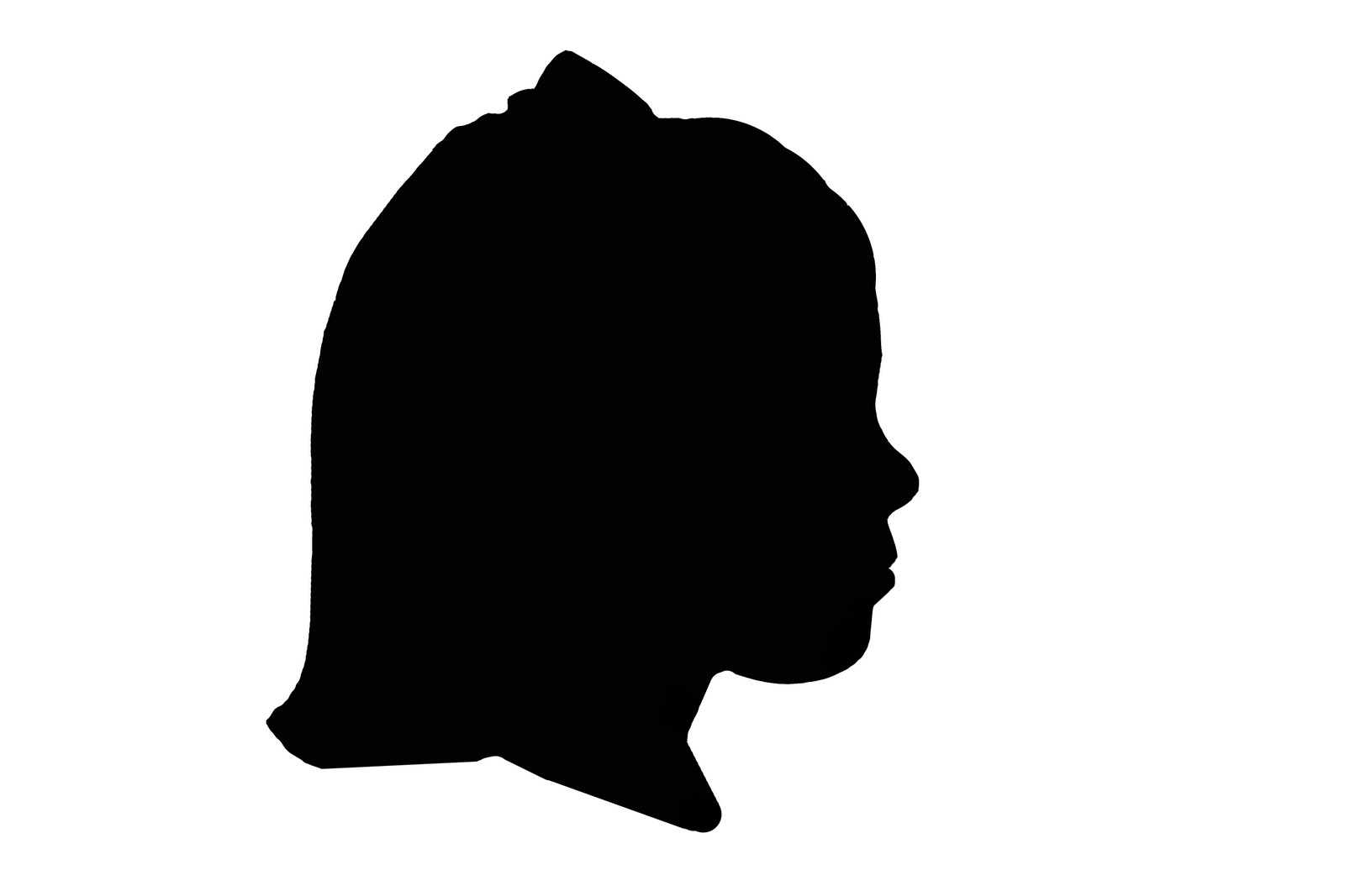 Catching Casey: DIY digital silhouettes