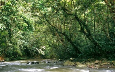 Taman Nasional Kayan Mentarang di Kabupaten Malinau | Informasi Wisata ...