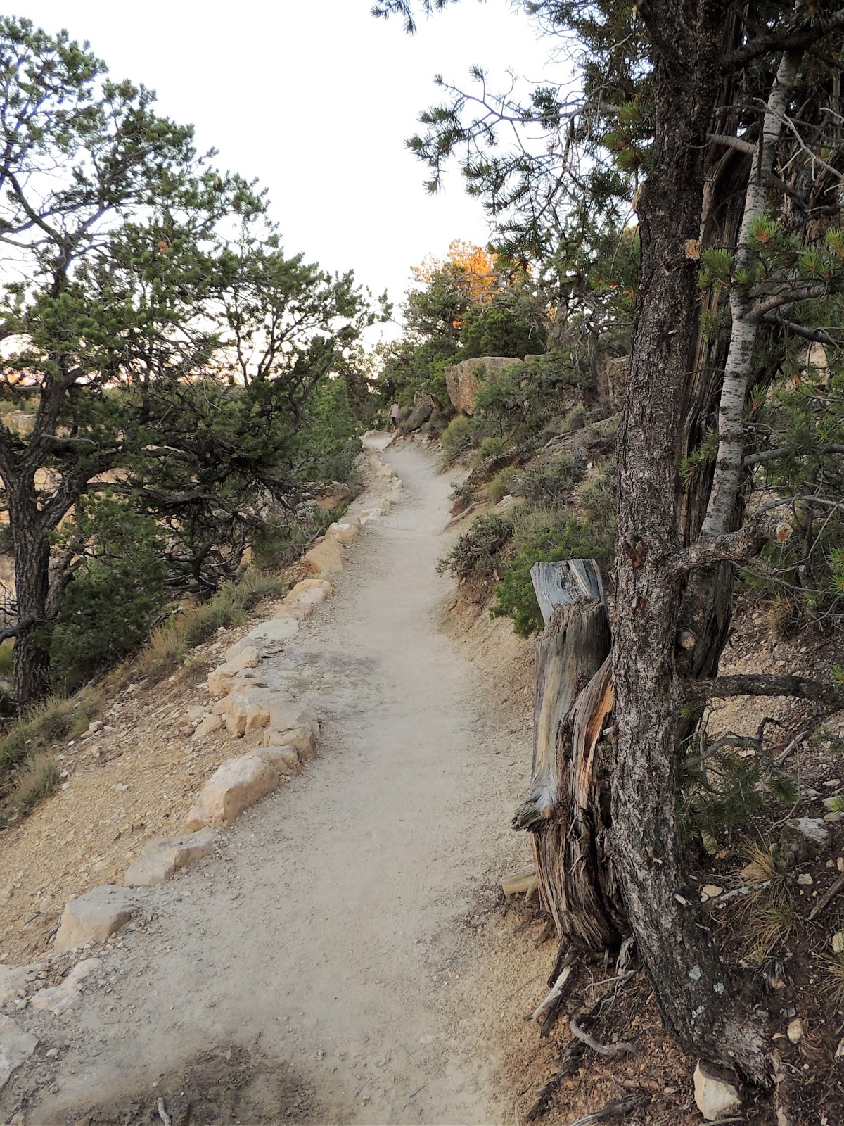 1000 Hikes in 1000 Days: Grand Canyon - South Rim Trail - Mather Point ...