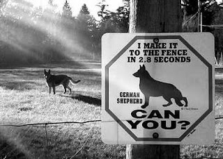 Funny Image Collection: Funny Quotes - Happy Lucky Dog