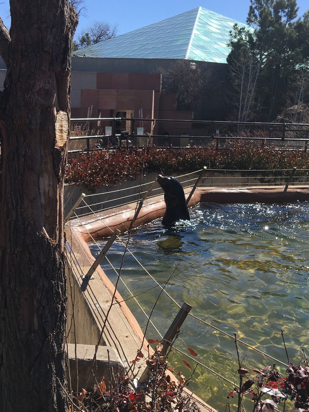 Spring Break-Denver – A Little Bit of Everything