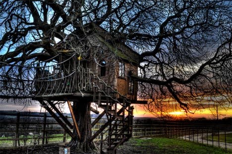 Amazing Tree Houses In Africa