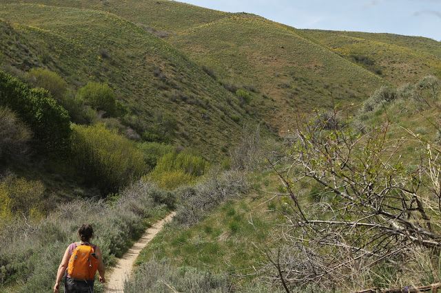 Nomadic Newfies: File Mile-Watchman-Three Bears Loop Near Boise