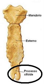 JANE ENTRE LINHAS: O Professor e o processo Xifóide