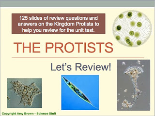 Amy Brown Science: Can I Make Protists More Interesting For My Students?