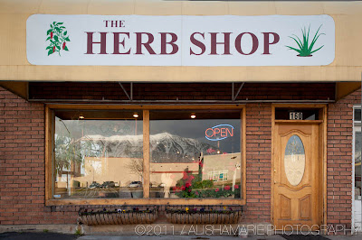Alisha Marie Photography: Sunbreeze Herb Shop