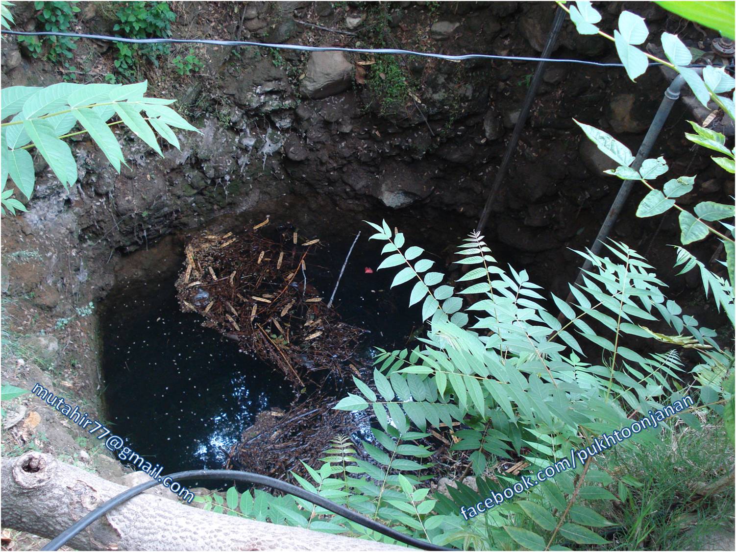 PUKHTOON JANAN پښتون جانان: My Village Barh (Brah) Malakand in Pictures