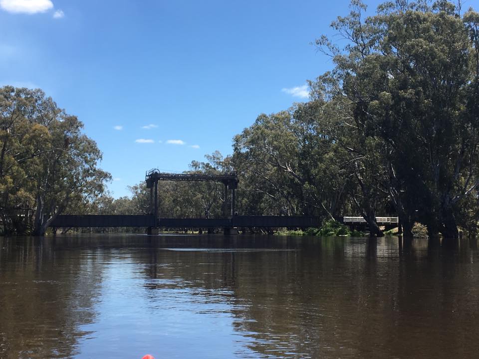 Murray River Kayak.: Murray river Paddle 2016 Day 18 Barham - Benjaroop