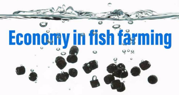 The Aquaculturists: 18/10/2017: Economy in fish farming