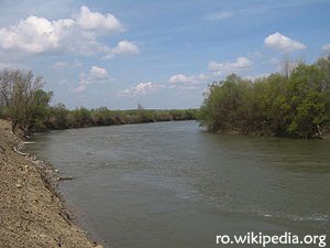 Pasiunea Pescuitului: Raul Prut