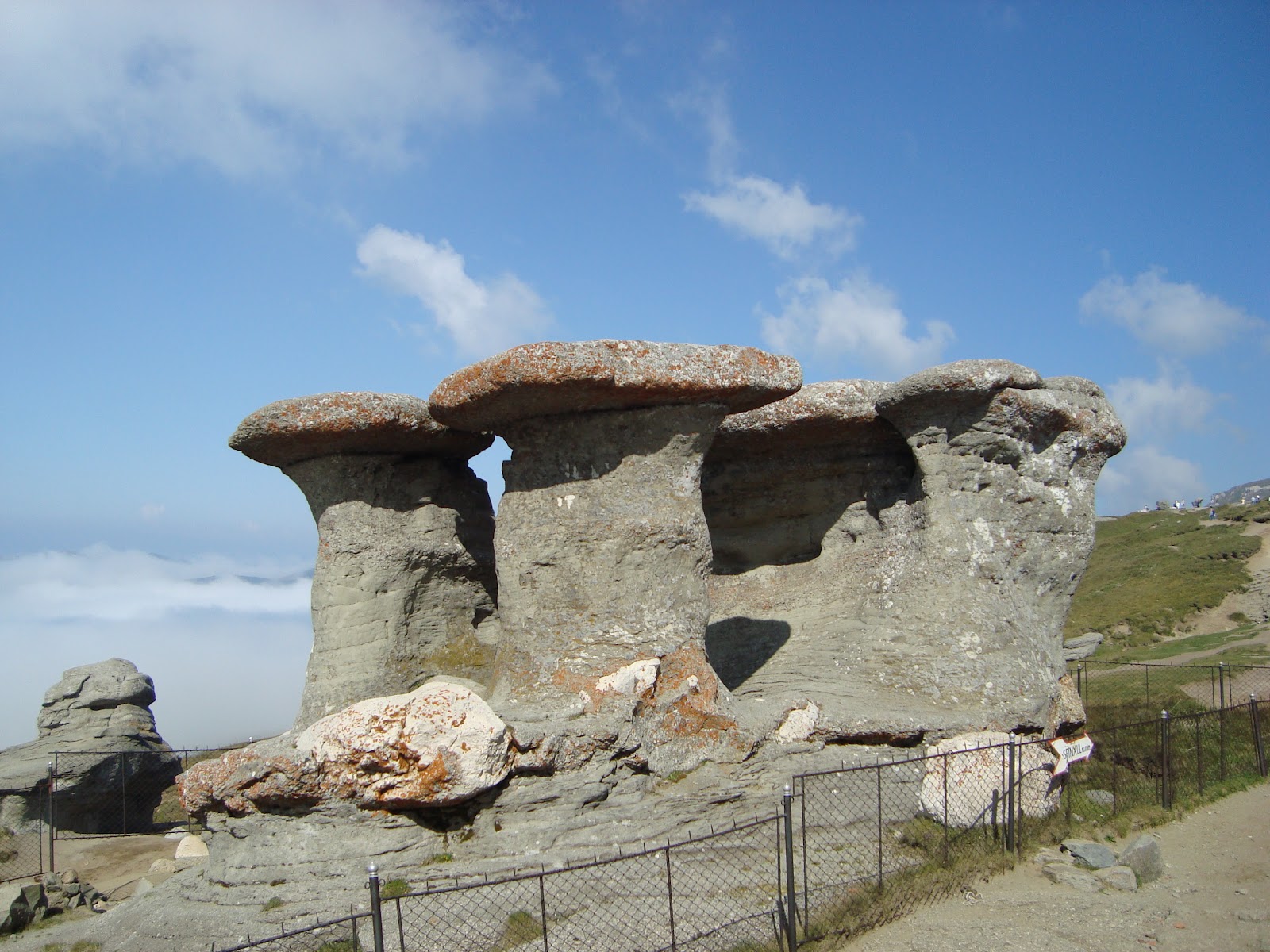 Popa Marius Claudiu - Fotografii: Munţii Bucegi : Sfinxul - Babele ...