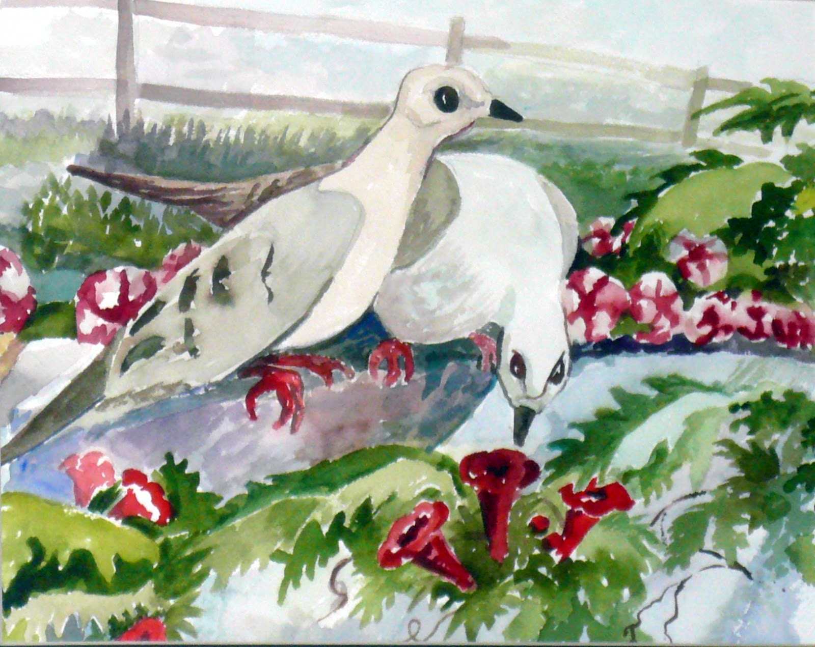 JLF's Art: Mourning Doves
