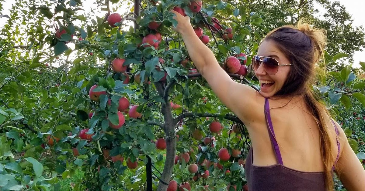The Best Apple Orchard in West Michigan! (Sorry Robinette's)