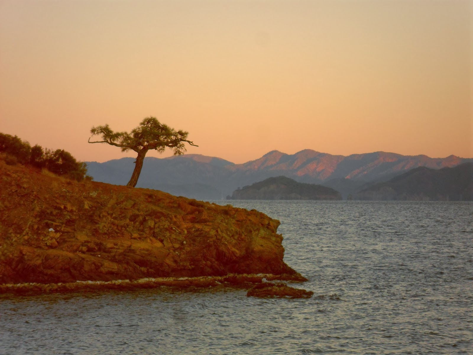 Sonnet: How To Survive a Turkish Gulet Trip and Review of The Seyhan Jan