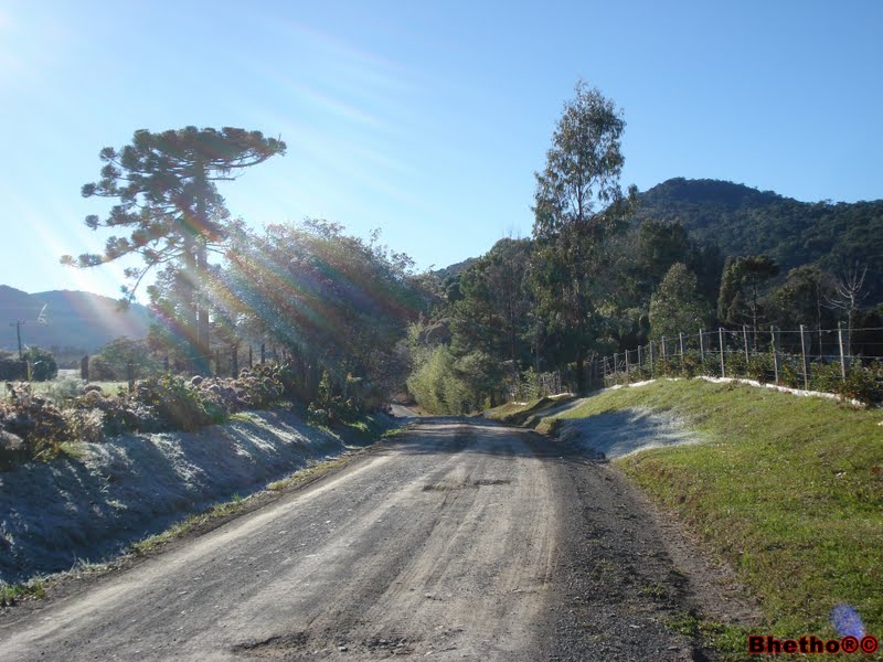LeãoBaioMotorClub: IMAGENS DO INVERNO LAGEANO - GEADA (LAGES - SC -BRASIL)