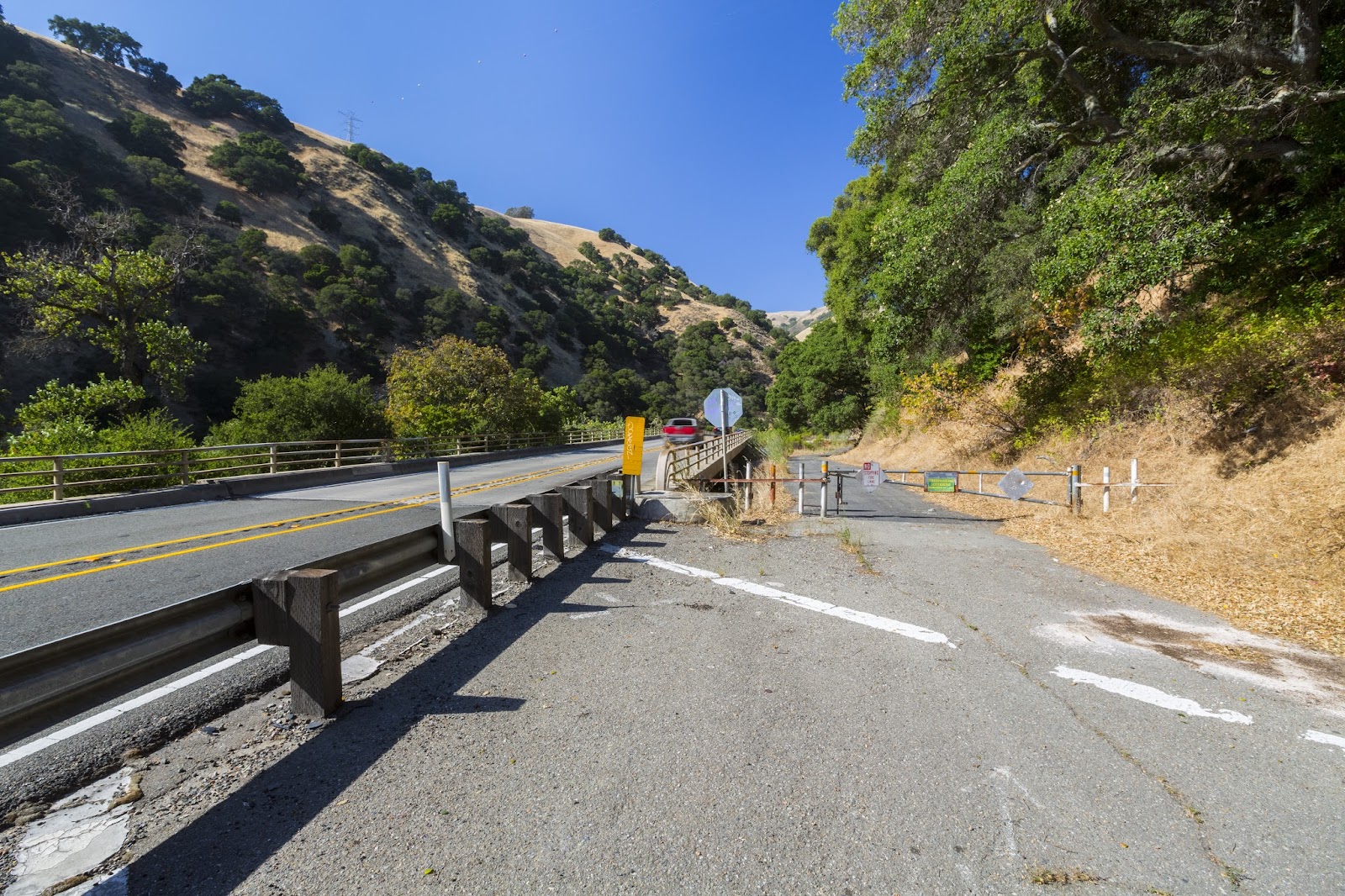 Naturetastic Blog: Niles Canyon/Alameda Creek - Sunol/Fremont, CA
