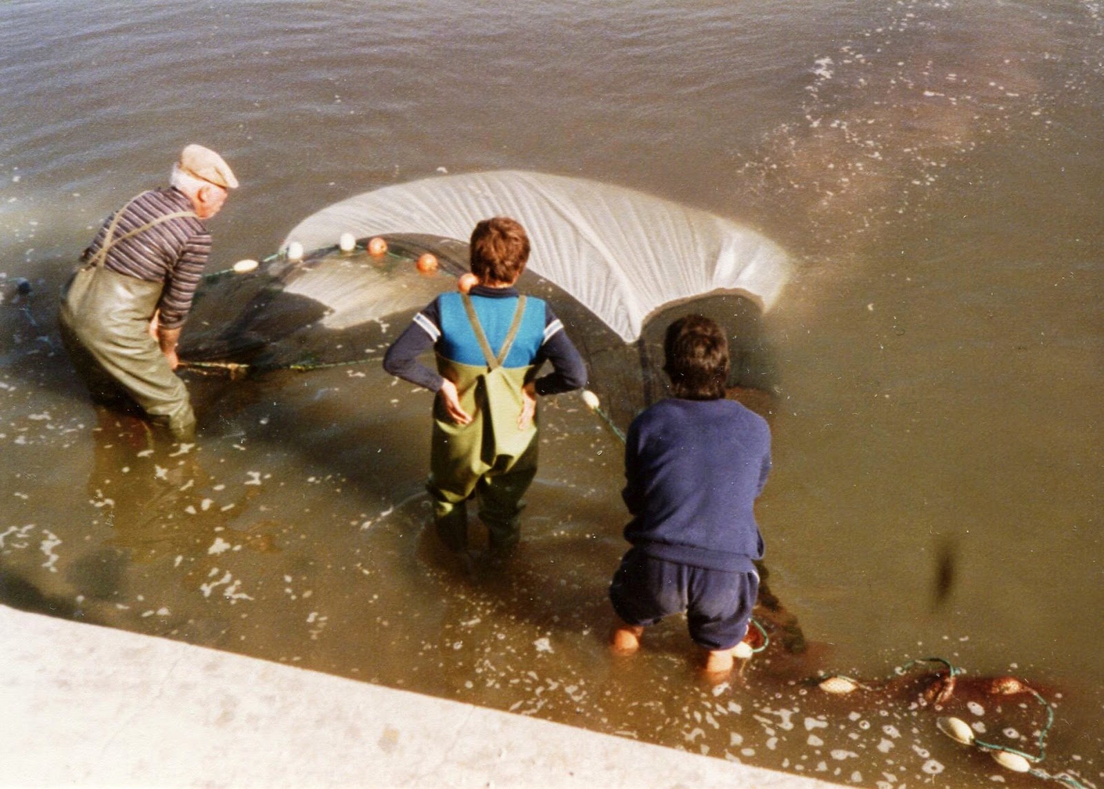 Marintimidades: Então, como estamos de galeota?