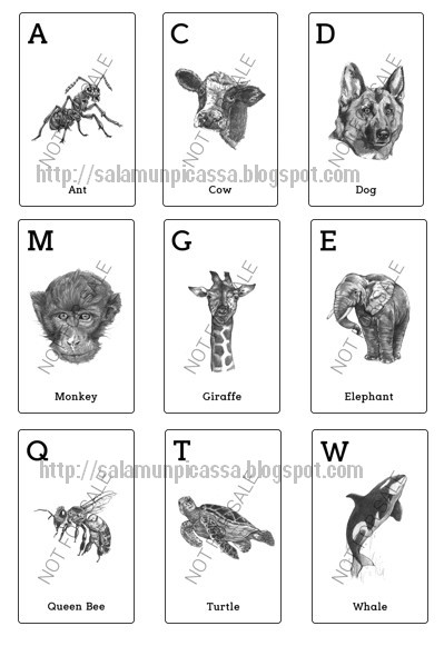 Kartu 4D dan Cara Menggunakannya - Fezarzone