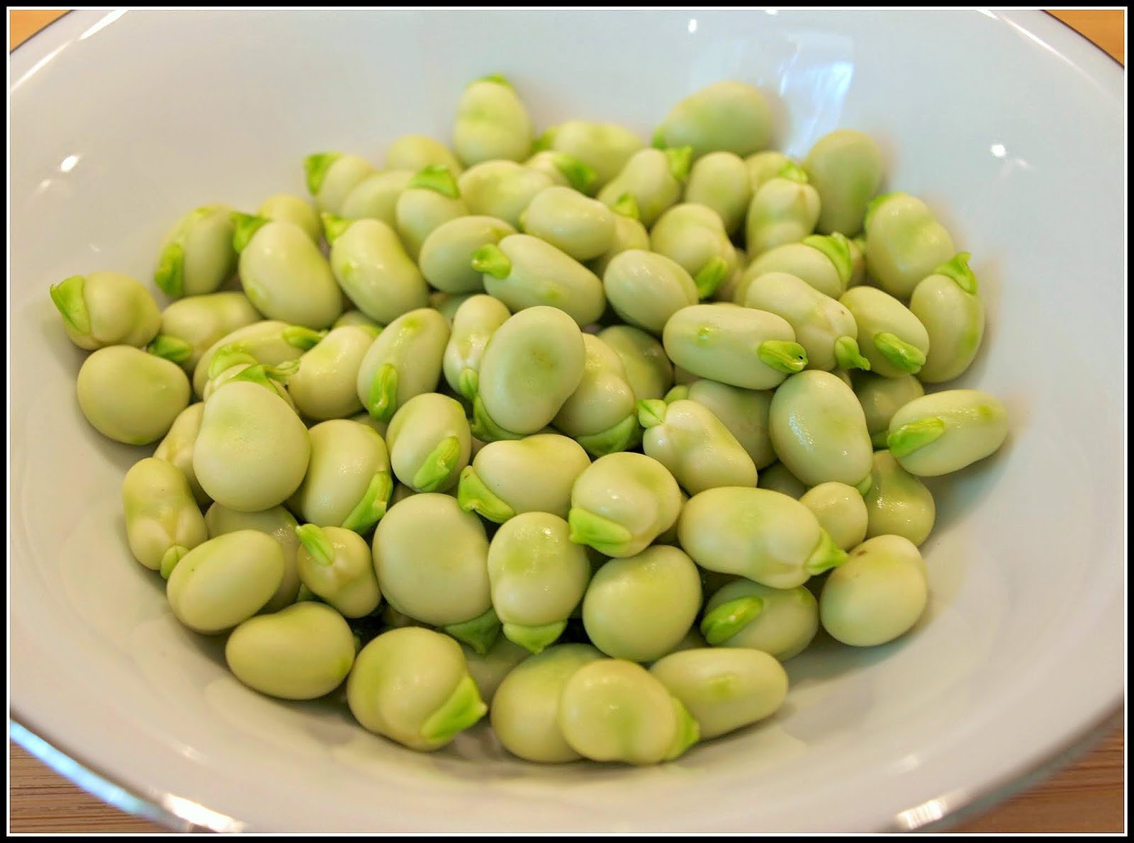 Mark's Veg Plot: Broad Bean "Stereo"