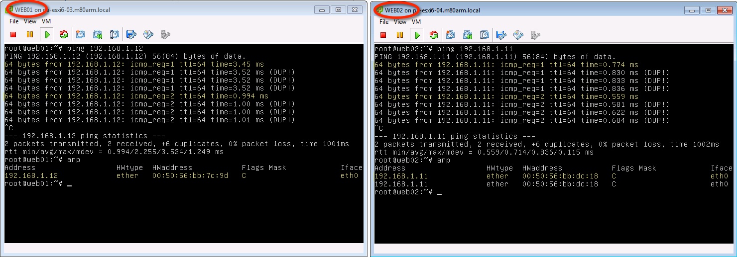 M80ARM - Virtualization Warrior: Creating a Universal Logical Switch in ...