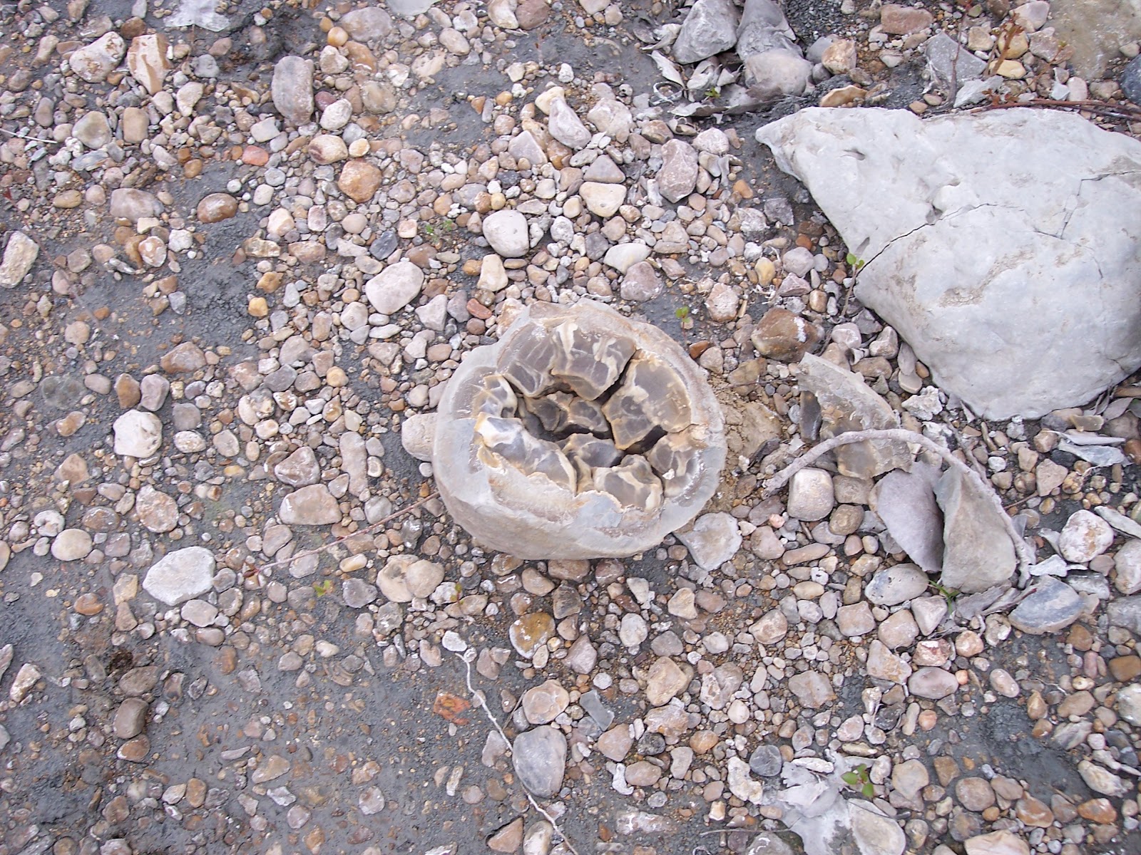 Enloe Museum: North Sulphur River Geodes