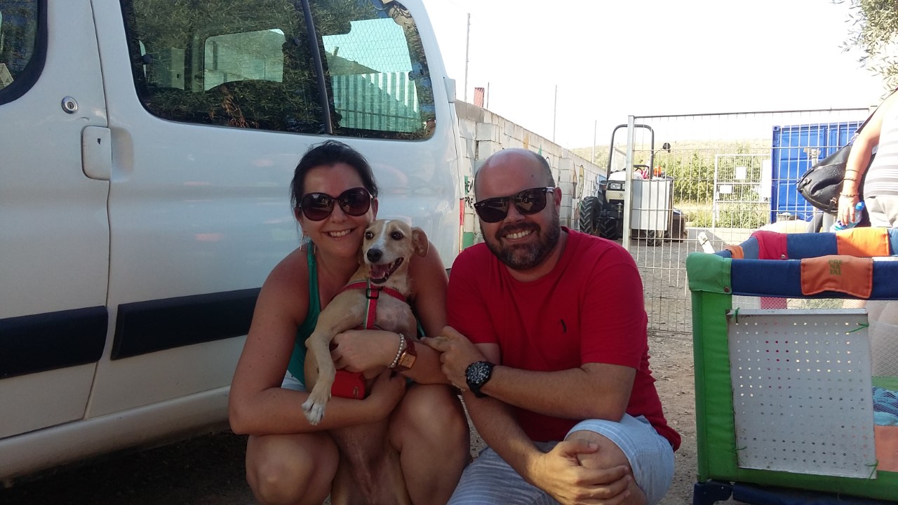 PROTECTORA D'ANIMALS LYDIA ARGILÉS: KEKA Y SU FAMILIA, REGRESAN DEL BRASIL