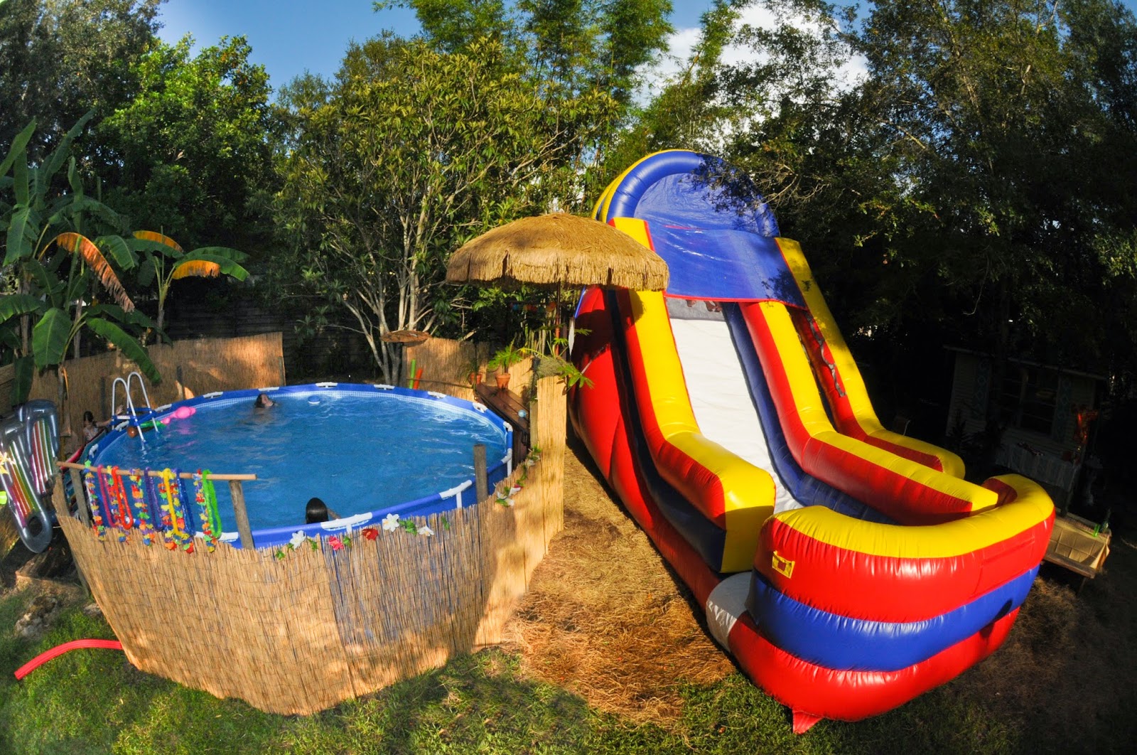 Sarasota and Bradenton Kids Party Ideas: How about A Rio Themed ...