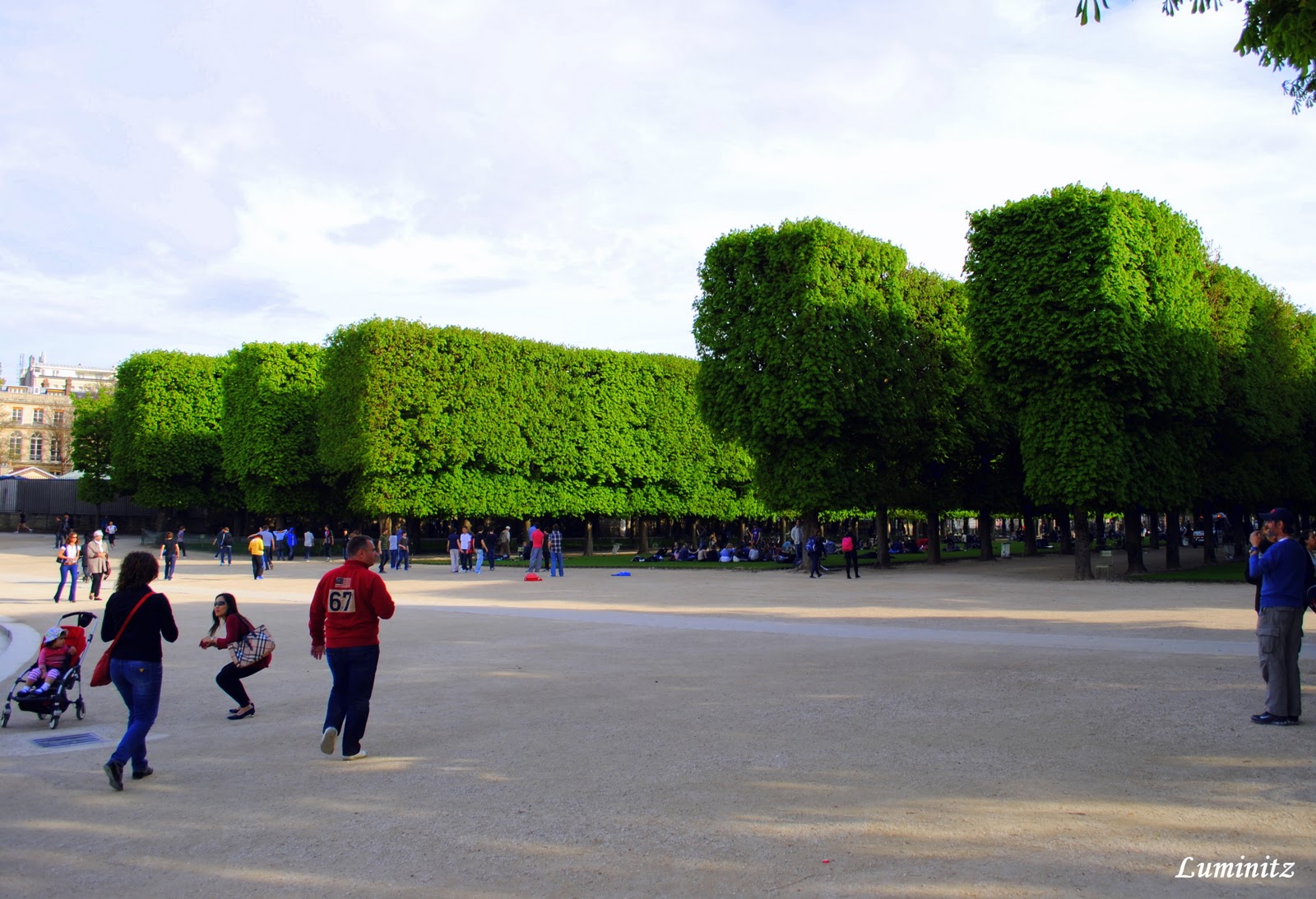 Luminitz Photos: Verde de Paris