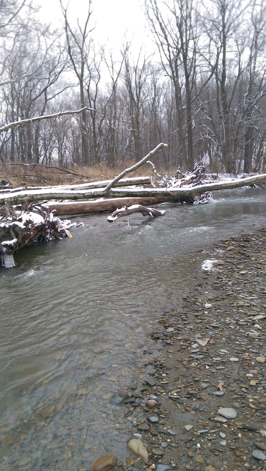 Lake Metroparks Fishing Report: Chagrin River is place to be...
