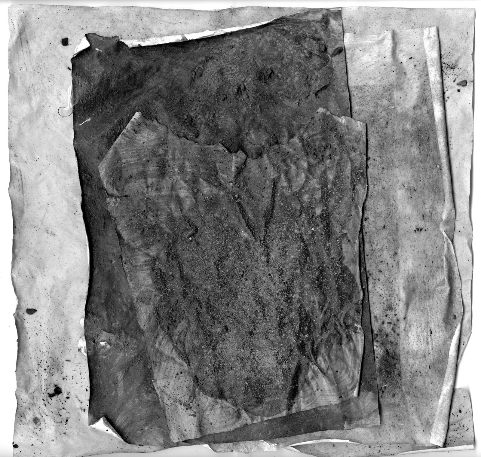 Fire In Fog: New ash paintings