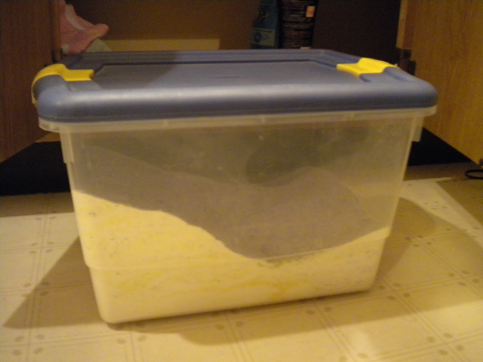 Shayna Does It Herself: Homemade (Powder) Laundry Soap