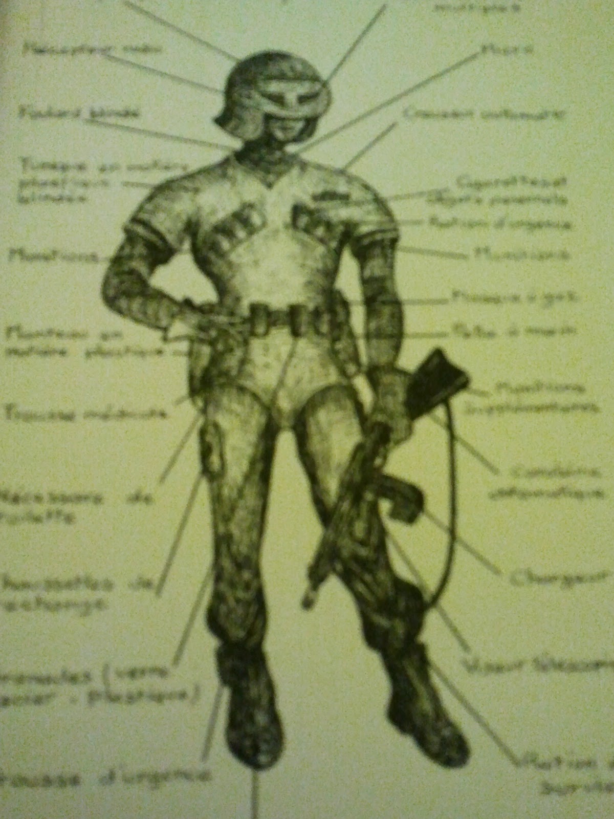 La voie de l'épée: Félin 1974