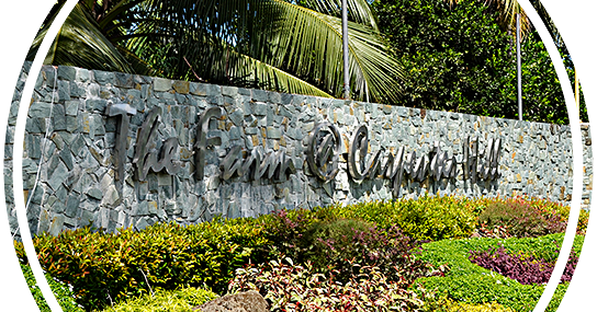 THE HISTORY OF THE FARM @ CARPENTER HILL IN KORONADAL CITY