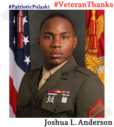 Patriotic Pulaski County Thanks Our Veterans: Joshua L. Anderson ...